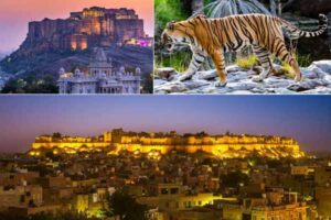 Jaipur to Alwar : Distance, How to Reach, Road Trip